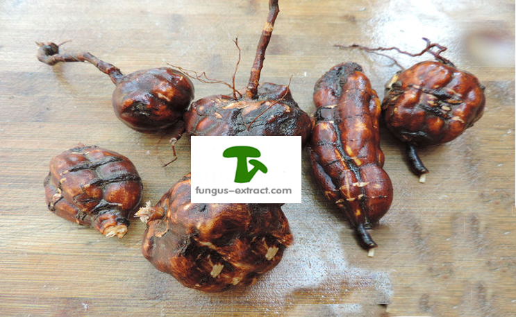 Prepared He Shou Wu Extract produced by a botanical extract factory